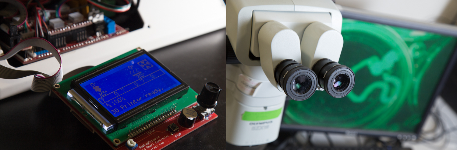 BioInnovation Group: Bringing Hands-On Lab Experiences to STEM Students ...