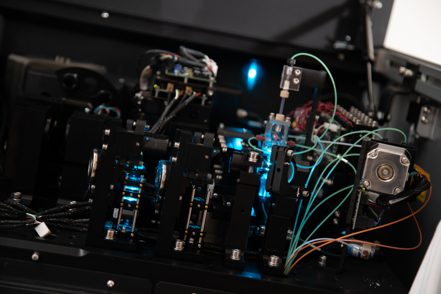 Assistant Professor Katherine Ralston Wins Innovation Award for Amoeba ...