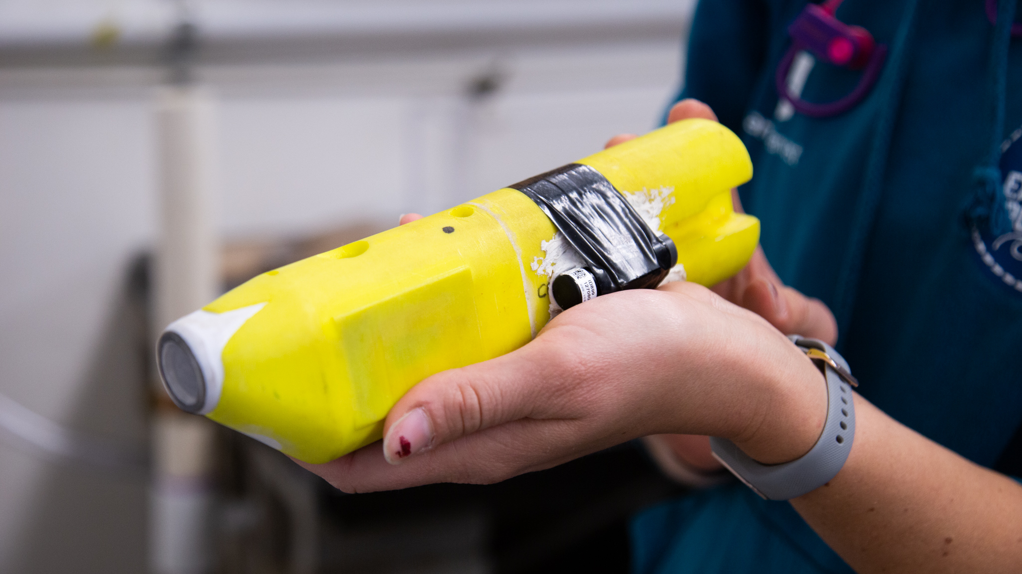 The Science of Ireland’s Sea Monsters: Searching for Sharks with Animal ...