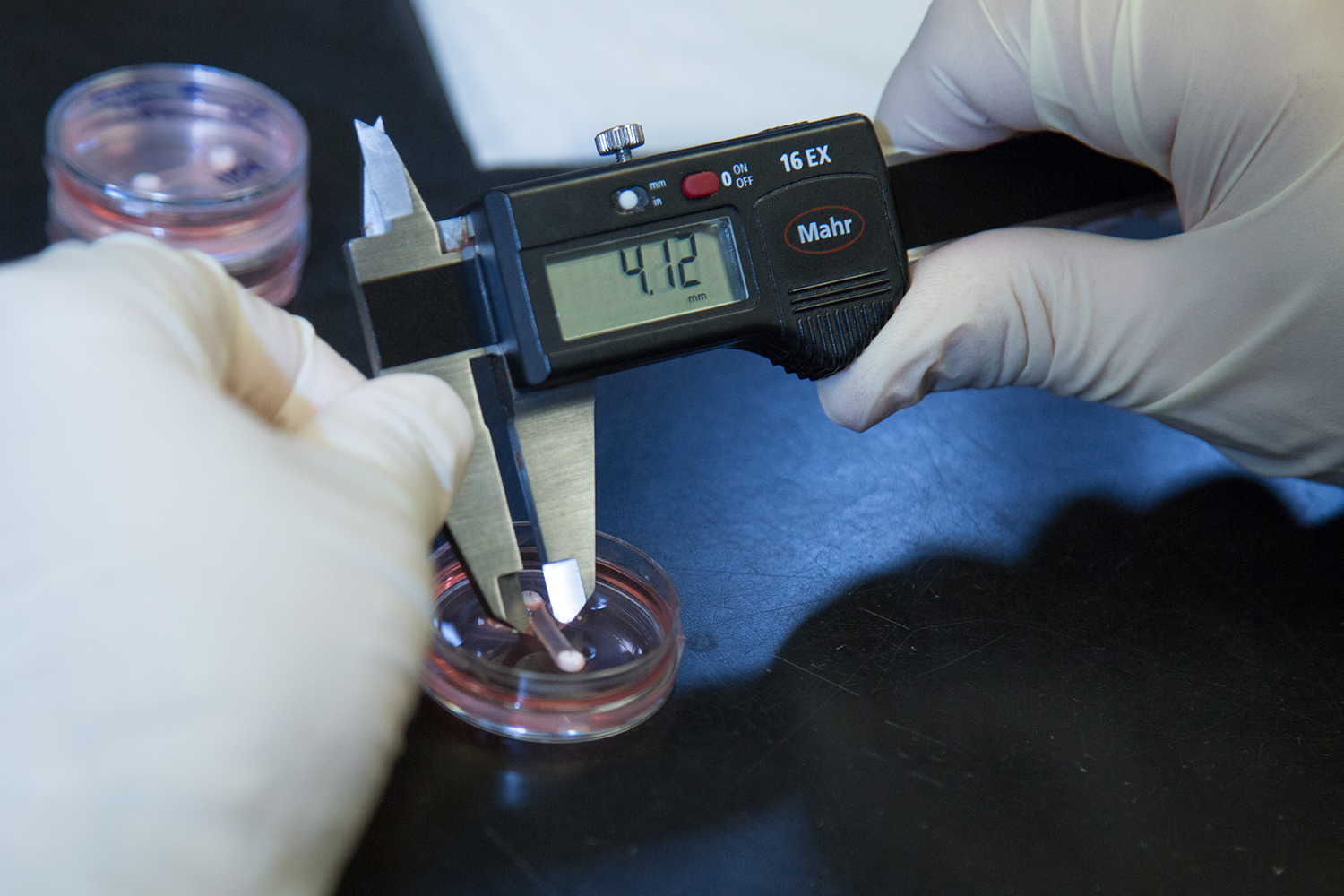 Engineering Injury Resistance, One Ligament at a Time | College of ...