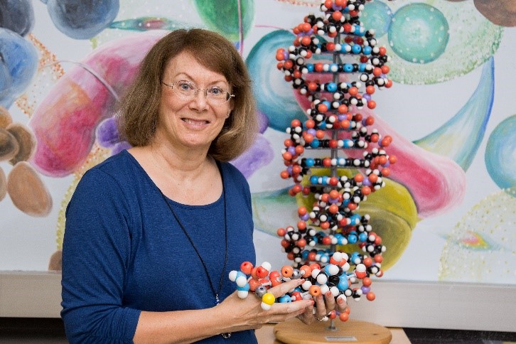 Luca Comai and Michele Igo Receive College of Biological Sciences ...