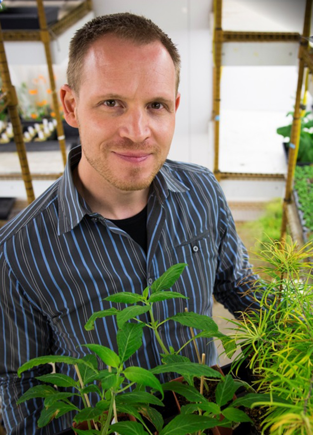 Philipp Zerbe Receives Young Investigator Award from Phytochemical ...