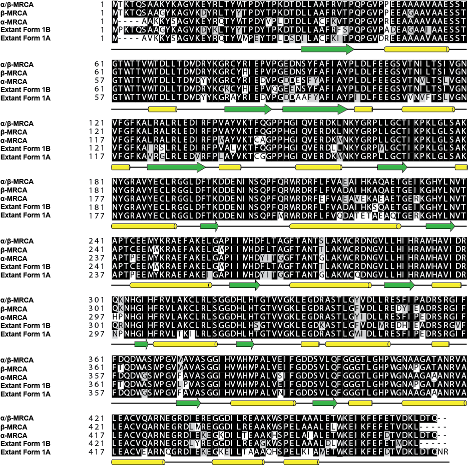 Sloan Fellowship Will Help New Faculty Patrick Shih Investigate Ancient ...