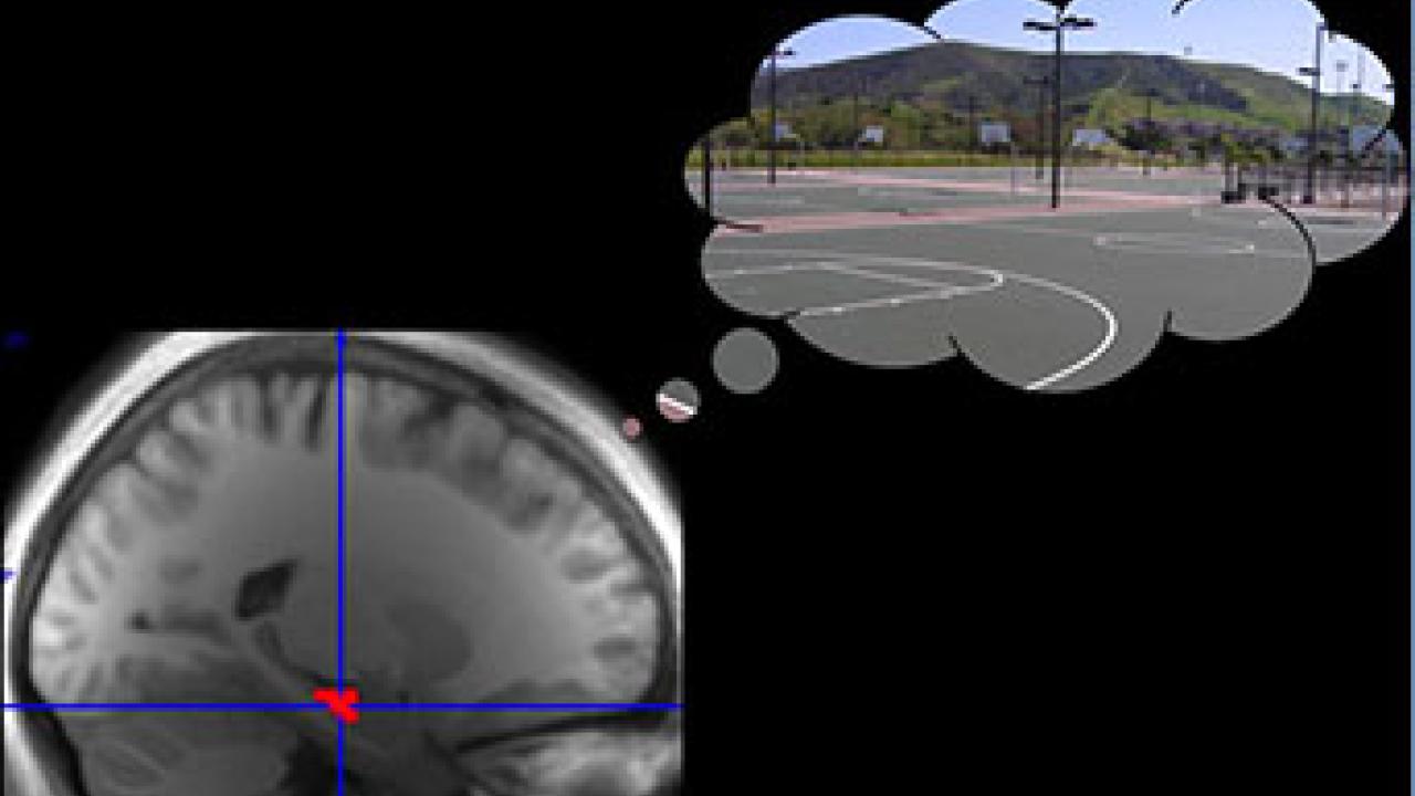 Memory Replay Prioritizes High-Reward Experiences | College of ...