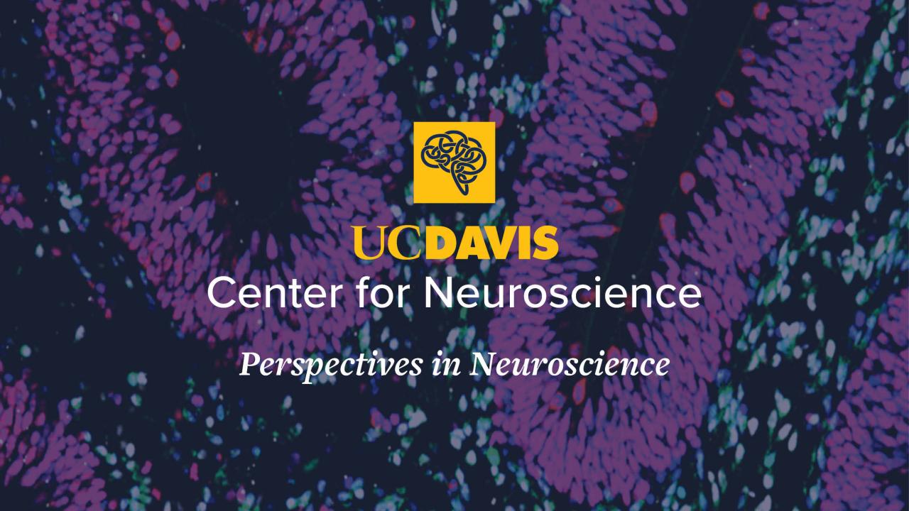 Perspectives in Neuroscience: Mary Kay Lobo | College of Biological ...