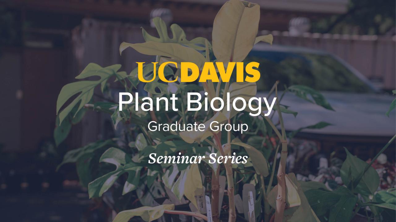 PLB Graduate Group Tuesday Seminar: Oluwatosin (Tosin) Adebanjo ...